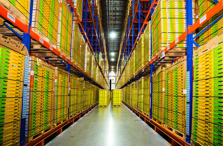 Rules You Must Follow in Cold Chain Packaging to Keep Your Products ...