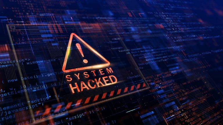 The Beginner's Guide to Identity Theft Protection Companies - Business ...