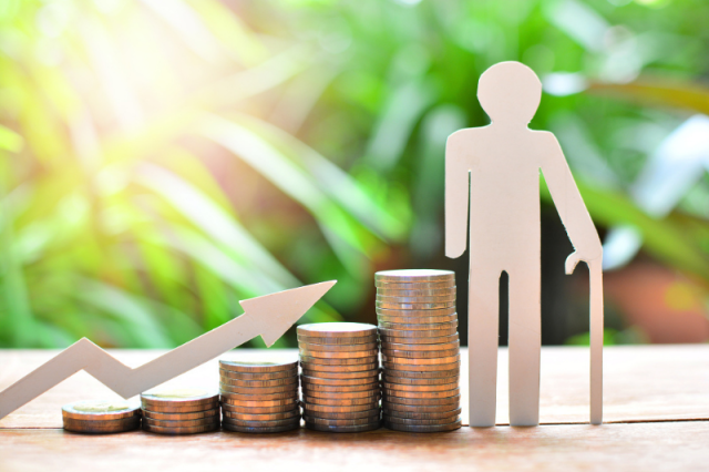 Retirement Ira Guide: Meaning of IRA and Types - Business Partner Magazine